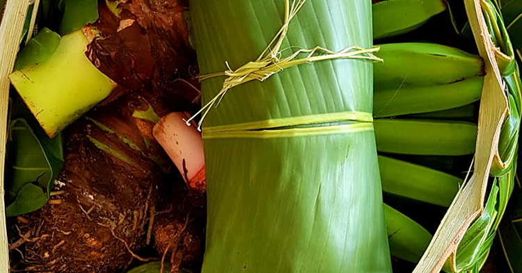 Samoa Observer | Lauga - “Ia e faia i tagata faapei ona e mana’o e fai