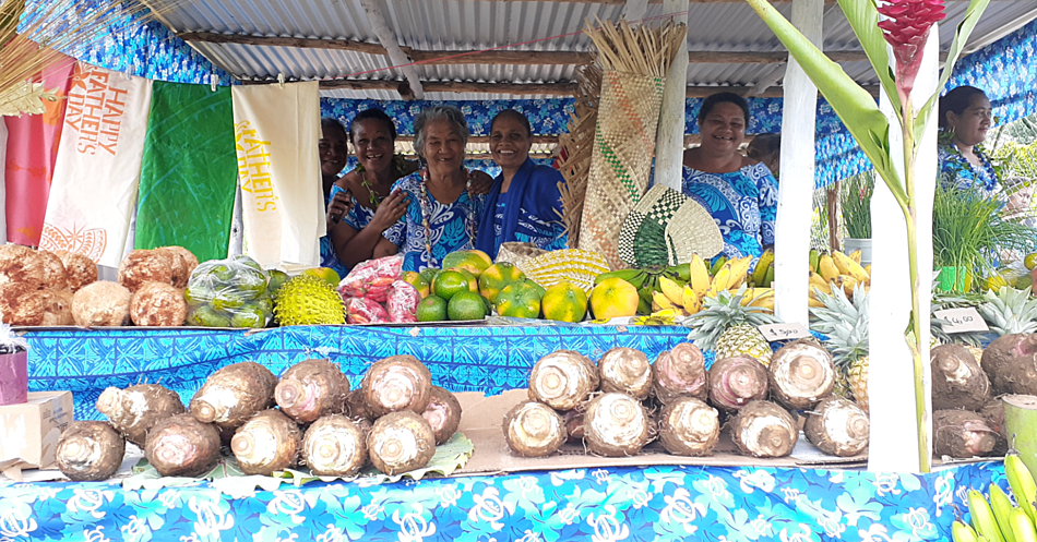 Samoa Observer | Income training to tackle violence against women