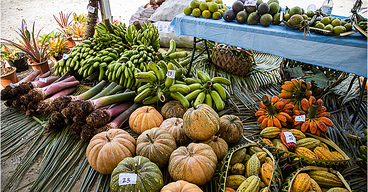 Samoa Observer | $300,000 earmark for Export Authority