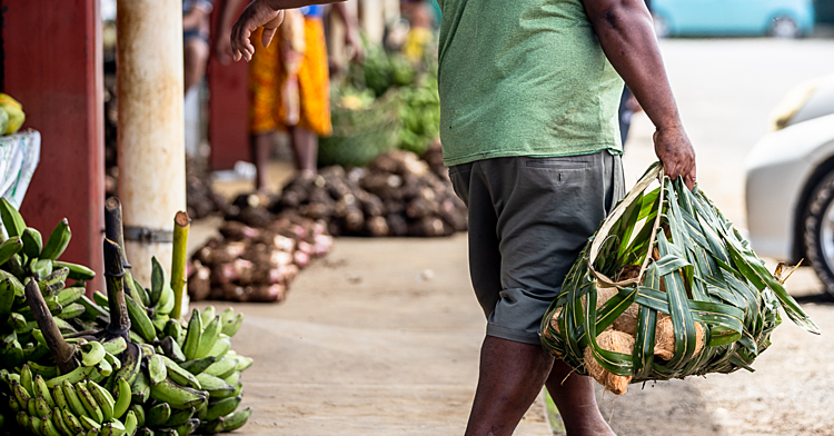 Samoa Observer | LAUGA - “O le mea sa’o e lelei; ae le o le mea lelei