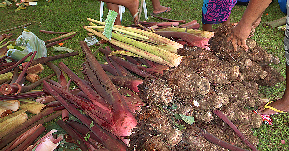 Samoa Observer | Local market supply declines, report says