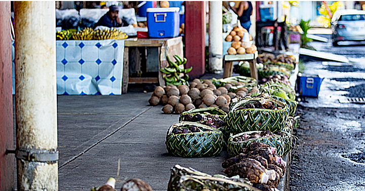 Samoa Observer | Cabinet endorses establishment of Samoa Export