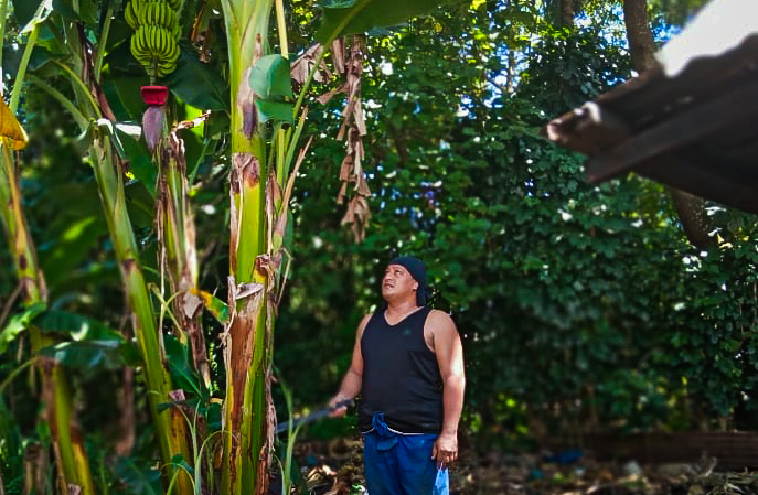 Samoa Observer | "Lockdown invoked memories of tsunami"