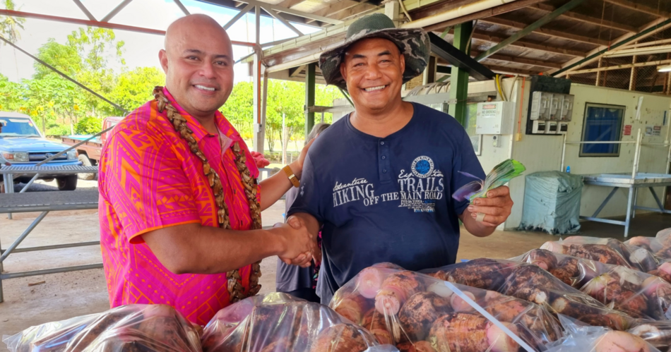 Samoa Observer | N.Z. taro exports bring smiles to farmers