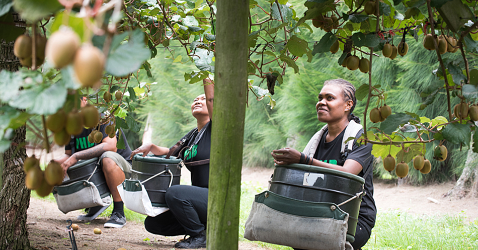 Samoa Observer | Seventy Samoan seasonal workers still stuck in