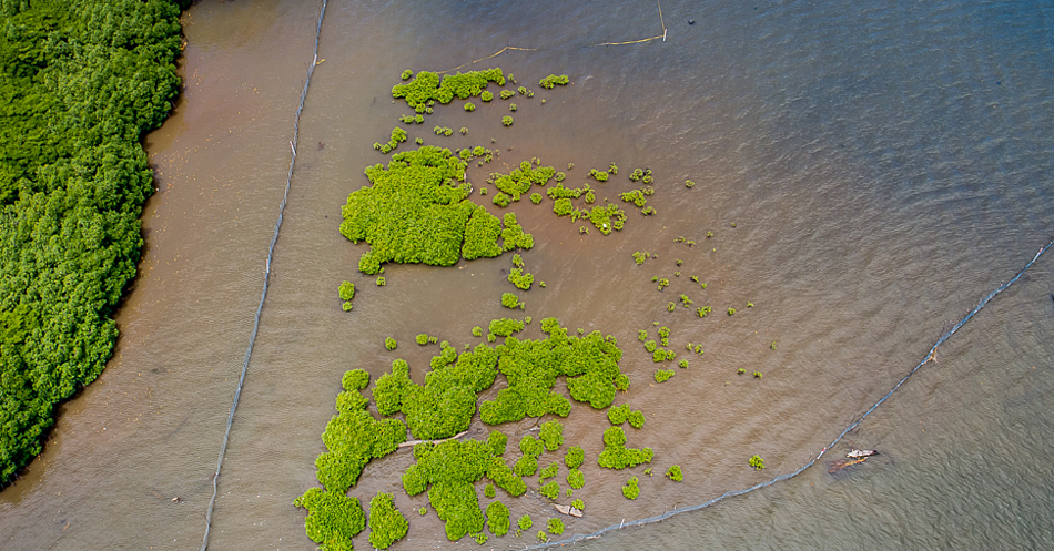 Samoa Observer | Vaiusu Wharf will destabilise environment: expert