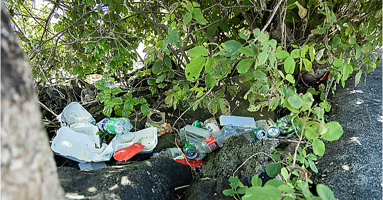 Samoa Observer | Rubbish buildup alarms restaurant owner