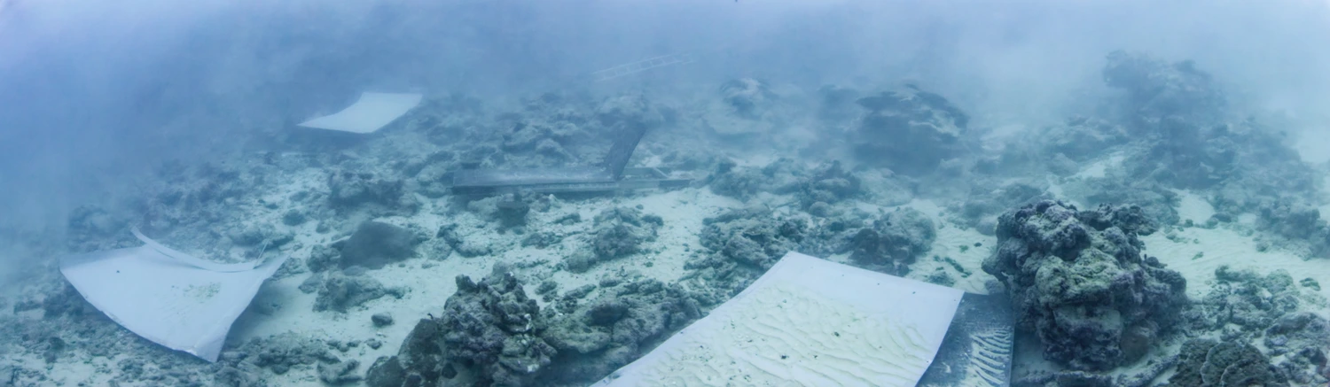 Samoa Observer | Photos show damage and debris