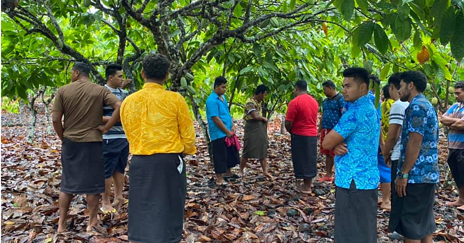 Samoa Observer | Koko Workshop prepares young farmers