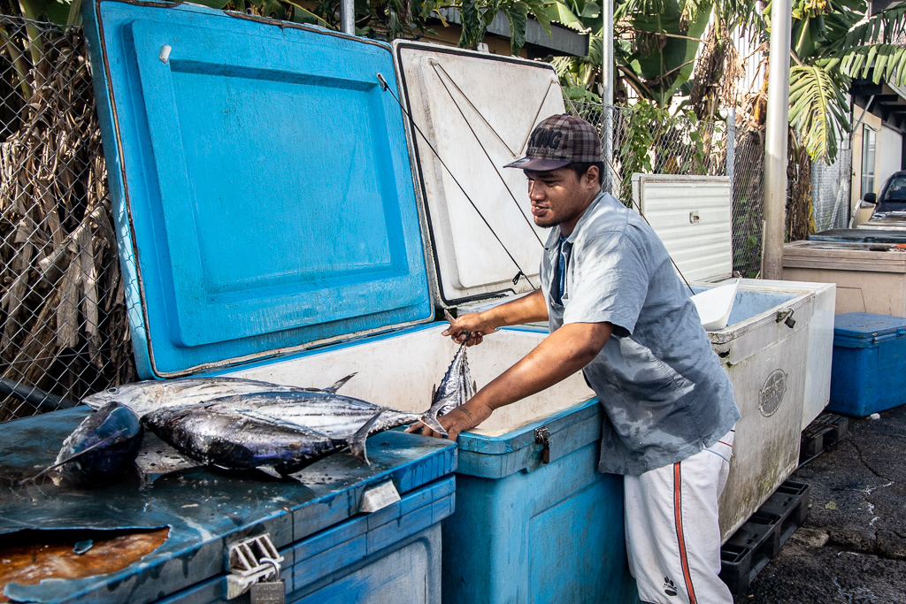 Samoa Observer | Samoa's exports increases by 58 per cent