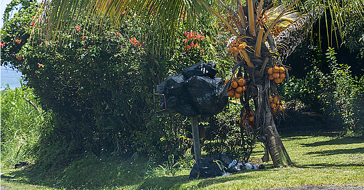 Samoa Observer | Garbage and the authentic Samoan experience