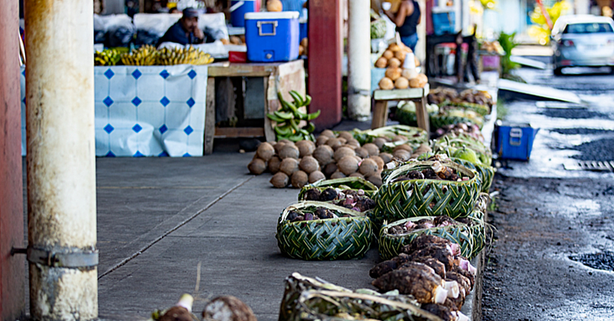 Samoa Observer | Taro exports spike despite challenges