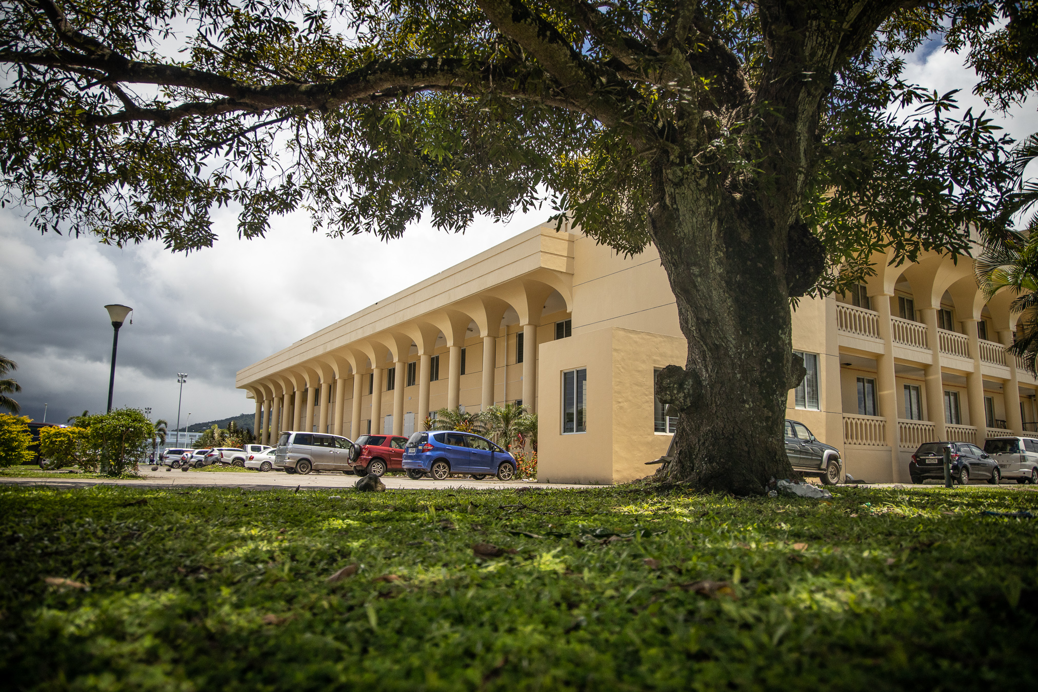 Samoa Observer | L.T.C. convenes under mango tree
