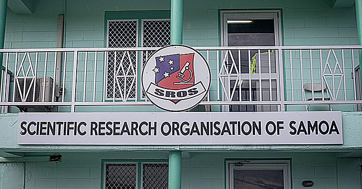 Samoa Observer | Samoan probiotic food need further study: expert