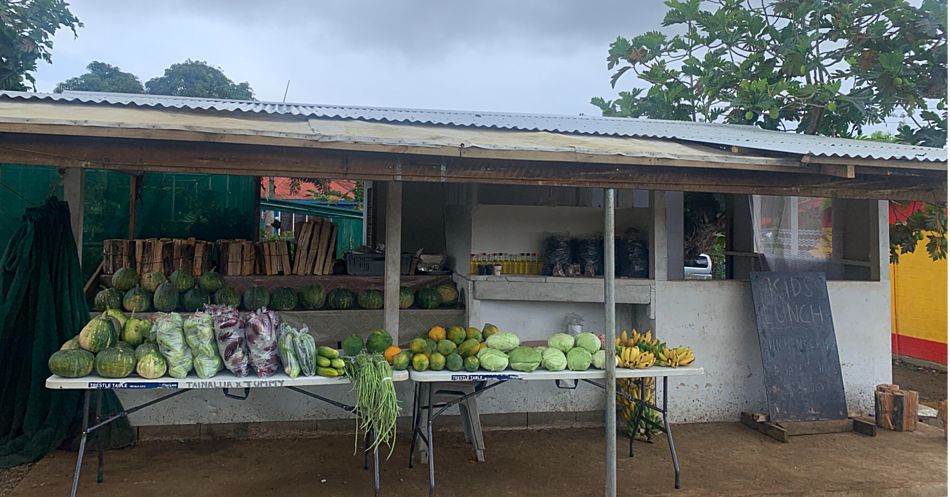 Samoa Observer | Pandemic affects mixed crop farming business