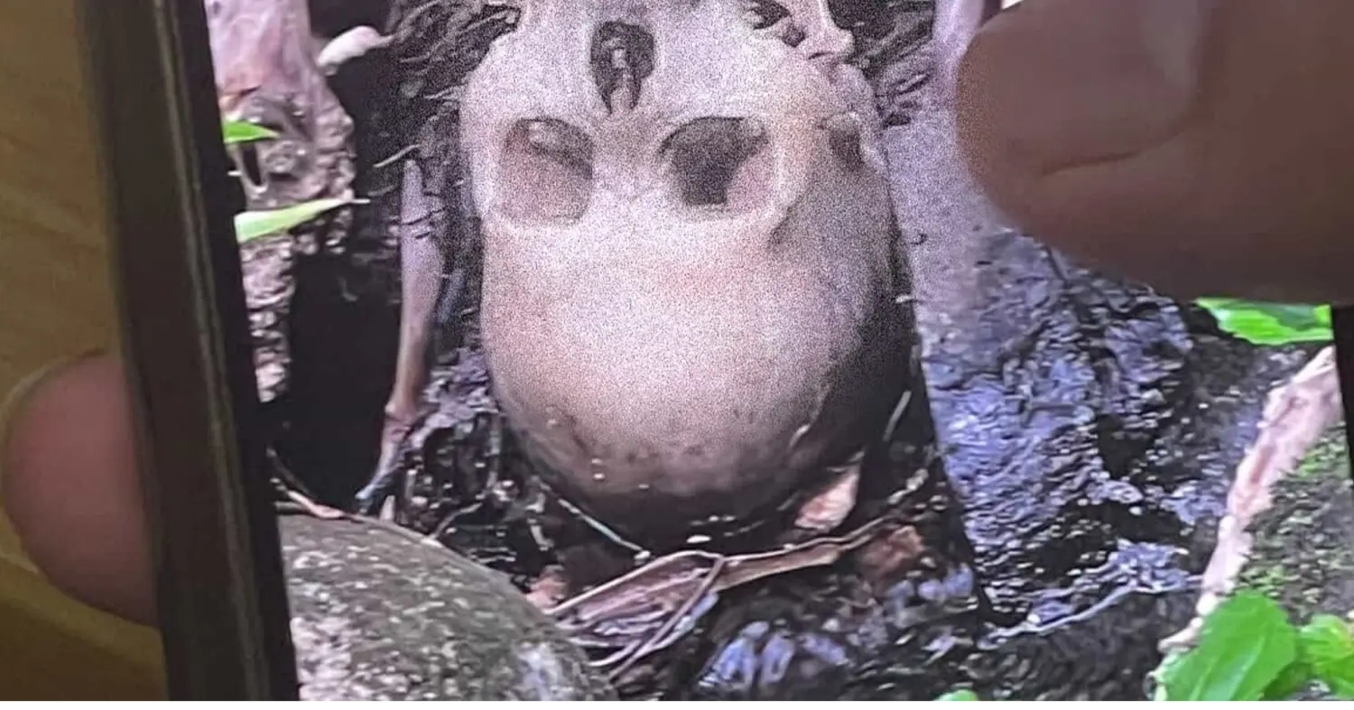 Samoa Observer | Aleisa skeleton not escaped convict