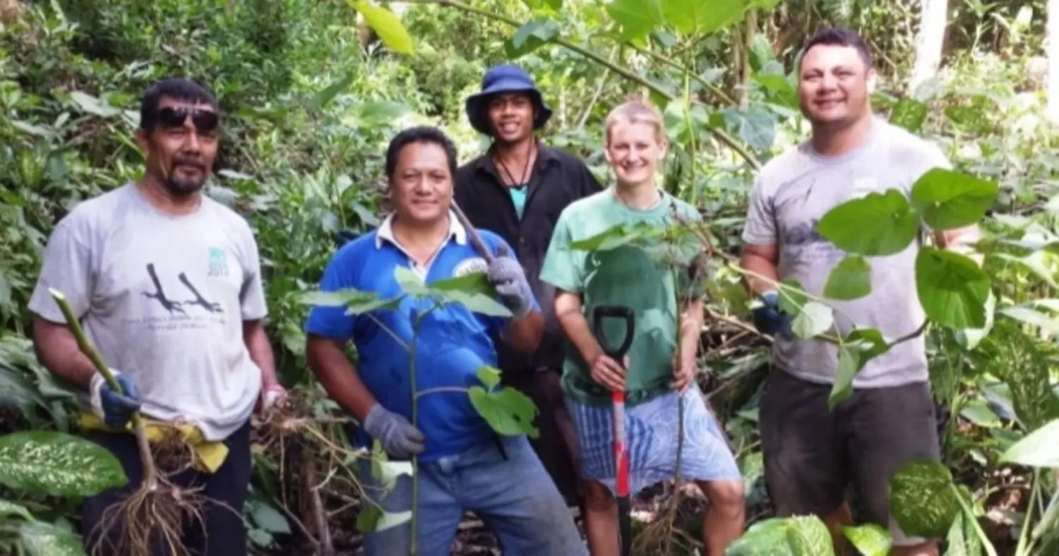 Samoa Observer | Weeding out invasive plants
