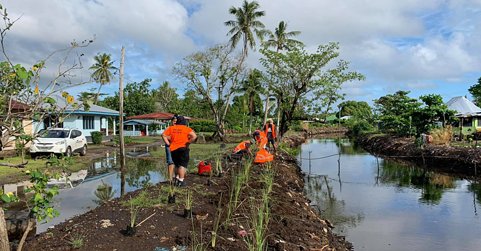 Samoa Observer | Vetiver grass planting starts at Fagalii river