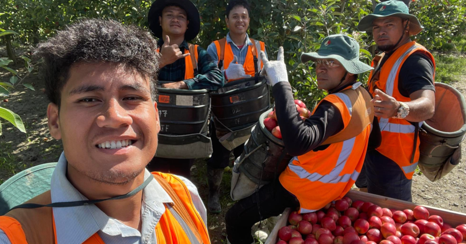 Samoa Observer | Doors re-open for seasonal workers