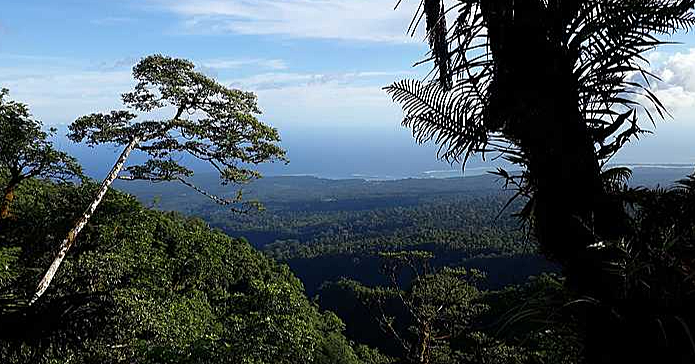 Samoa Observer | Book on hiking in Samoa published