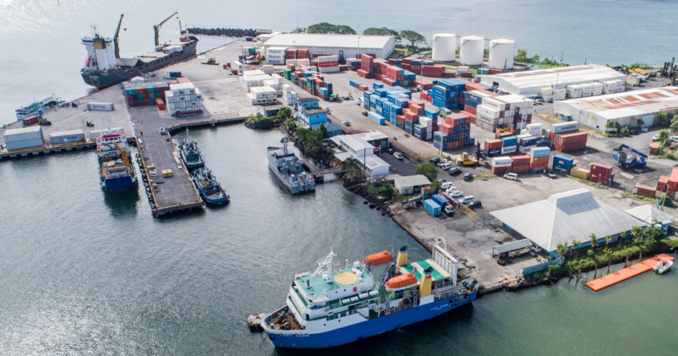 Samoa Observer | Controlling Samoa's container plant pests