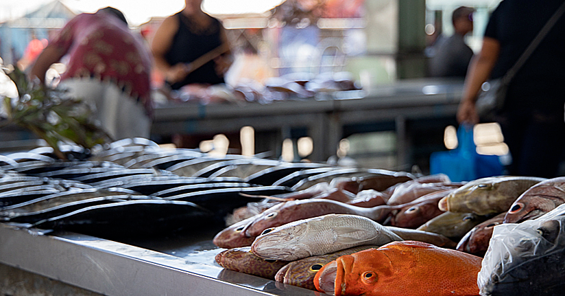 Samoa Observer | Export earnings surge by 50 per cent