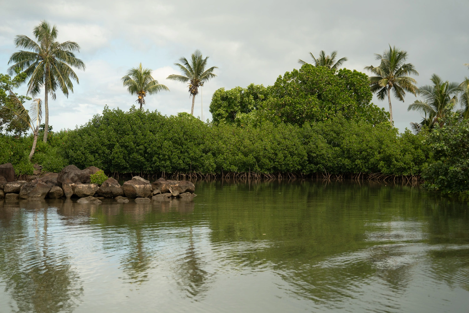 Samoa Observer | Between the Lines