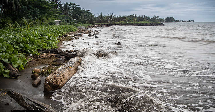 Samoa Observer | LAUGA - “O le onosai e iloa ai le mamalu o le Atua”