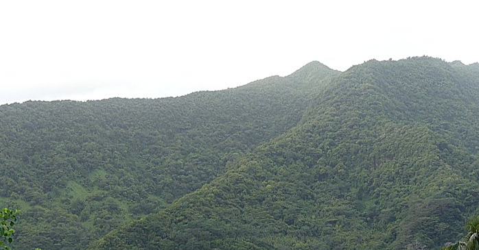 Samoa Observer | Make Uafato a lifetime conservation area