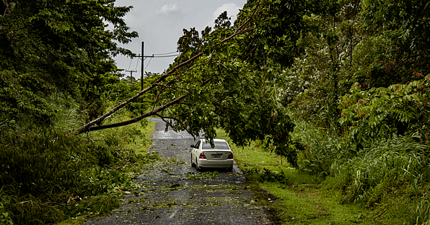 Samoa Observer | Reduced cyclone activity forecast