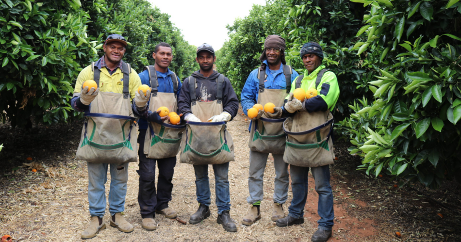 Samoa Observer | The migration review and Pacific migration