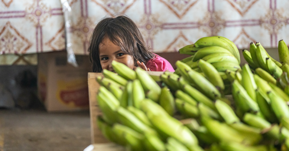 Samoa Observer | Samoa still reliant on imported food