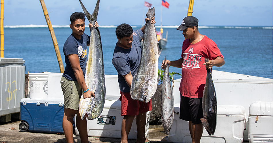 Samoa Observer | Scale of Samoa's tuna catch to grow with climate