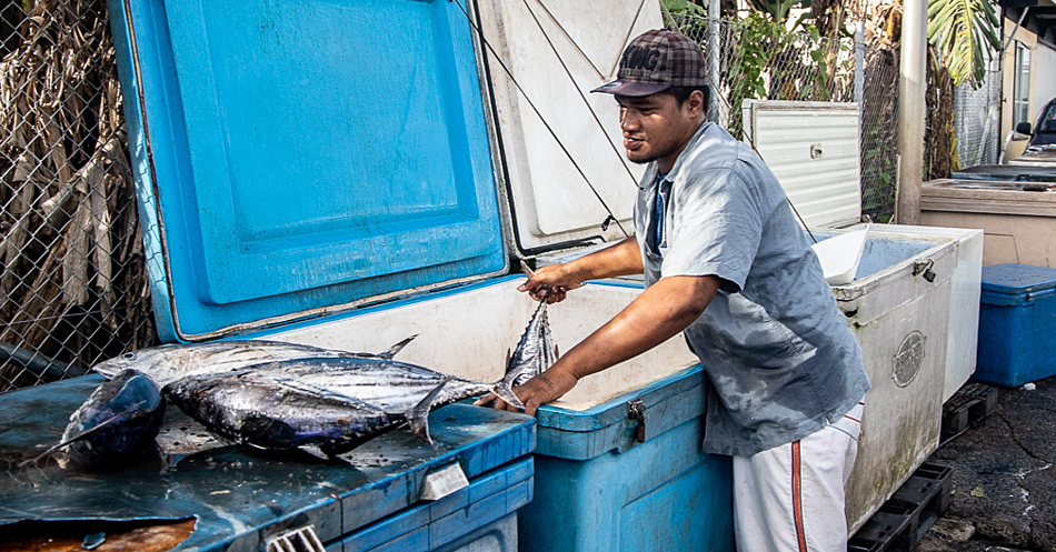 Samoa Observer | Samoa's exports increases by 58 per cent