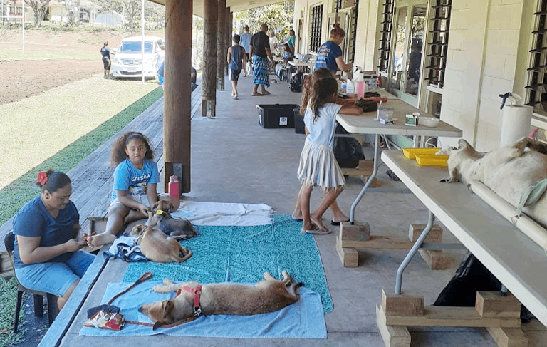 Samoa Observer | Between the Lines