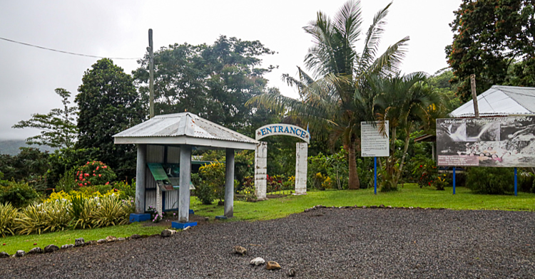 Samoa Observer | Lauga - “OLIOLI I LE ALII”