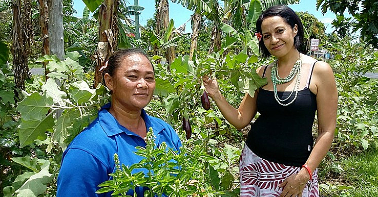 Samoa Observer | Samoan chef in 'celebration of Pacific cuisine'