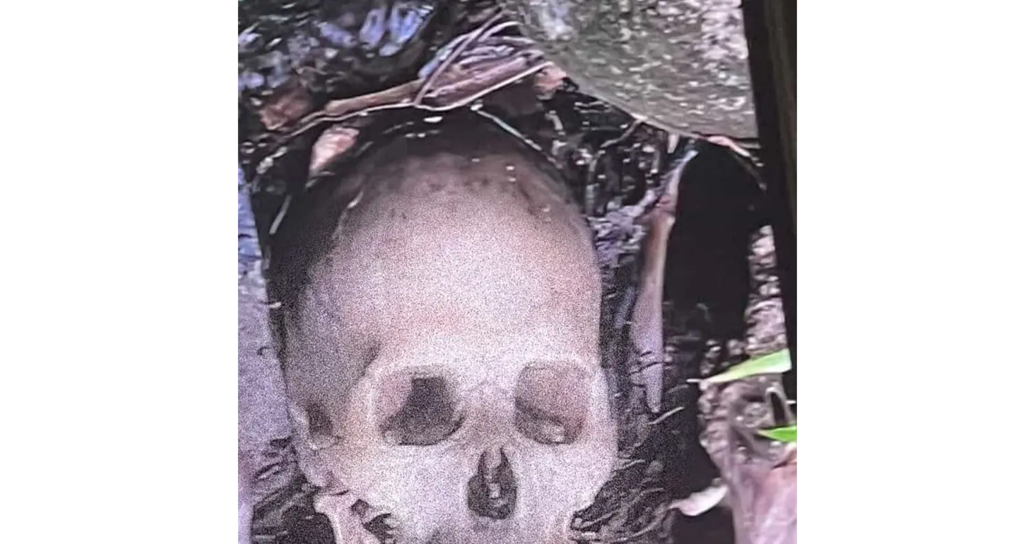 Samoa Observer | Aleisa skeleton was of male, aged 35–45