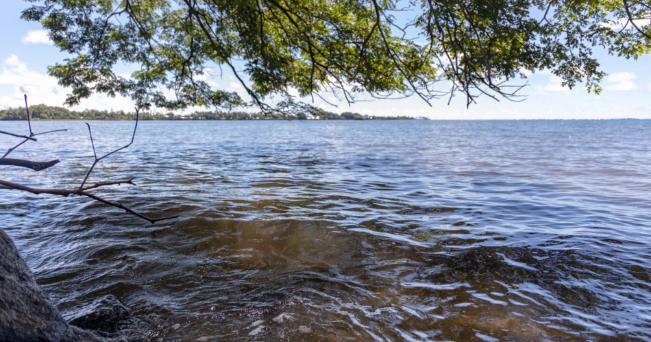Samoa Observer | Rising sea fears for Saleimoa