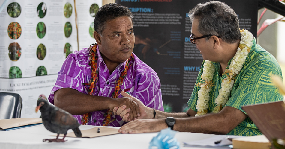 Samoa Observer | Plan to save Samoa's national bird, manumea, launched