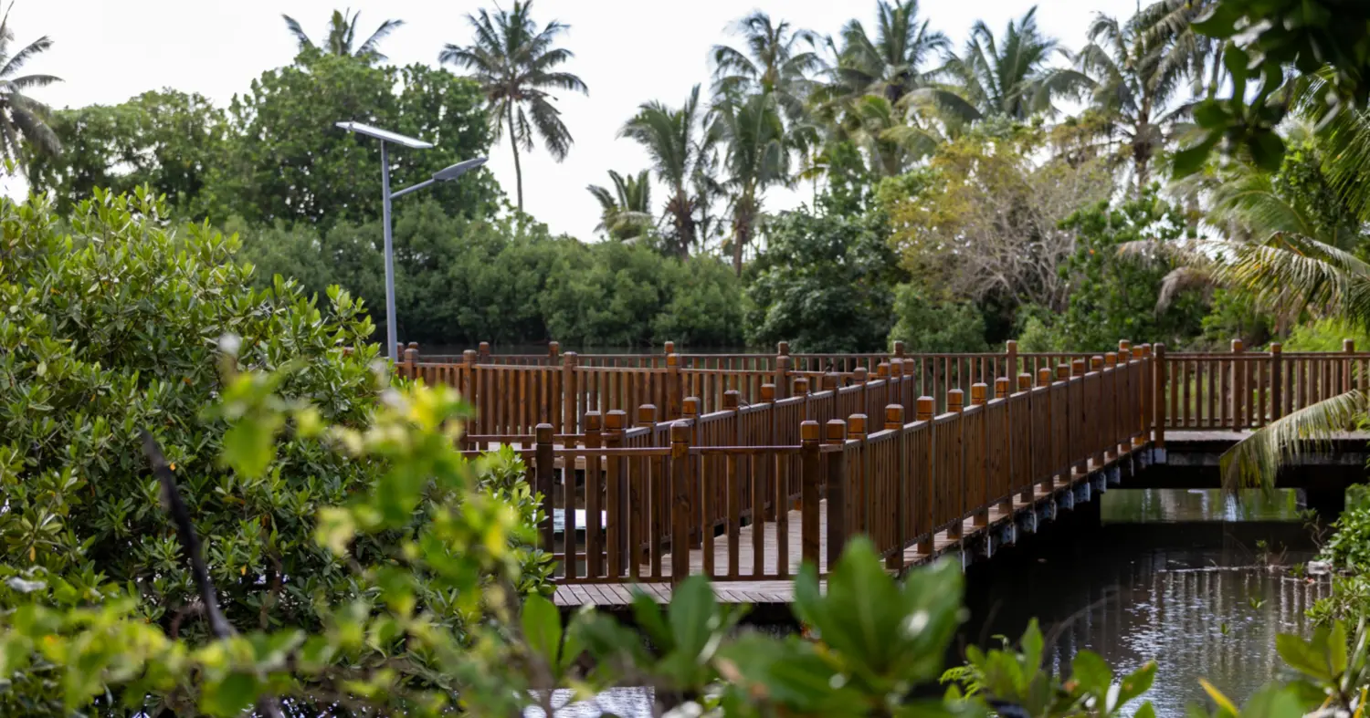 Samoa Observer | Teenager abducts child