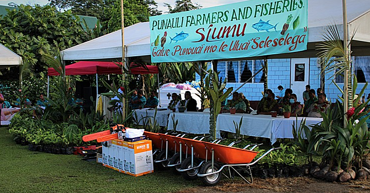Samoa Observer | Siumu farmers, fishers host first Talomua