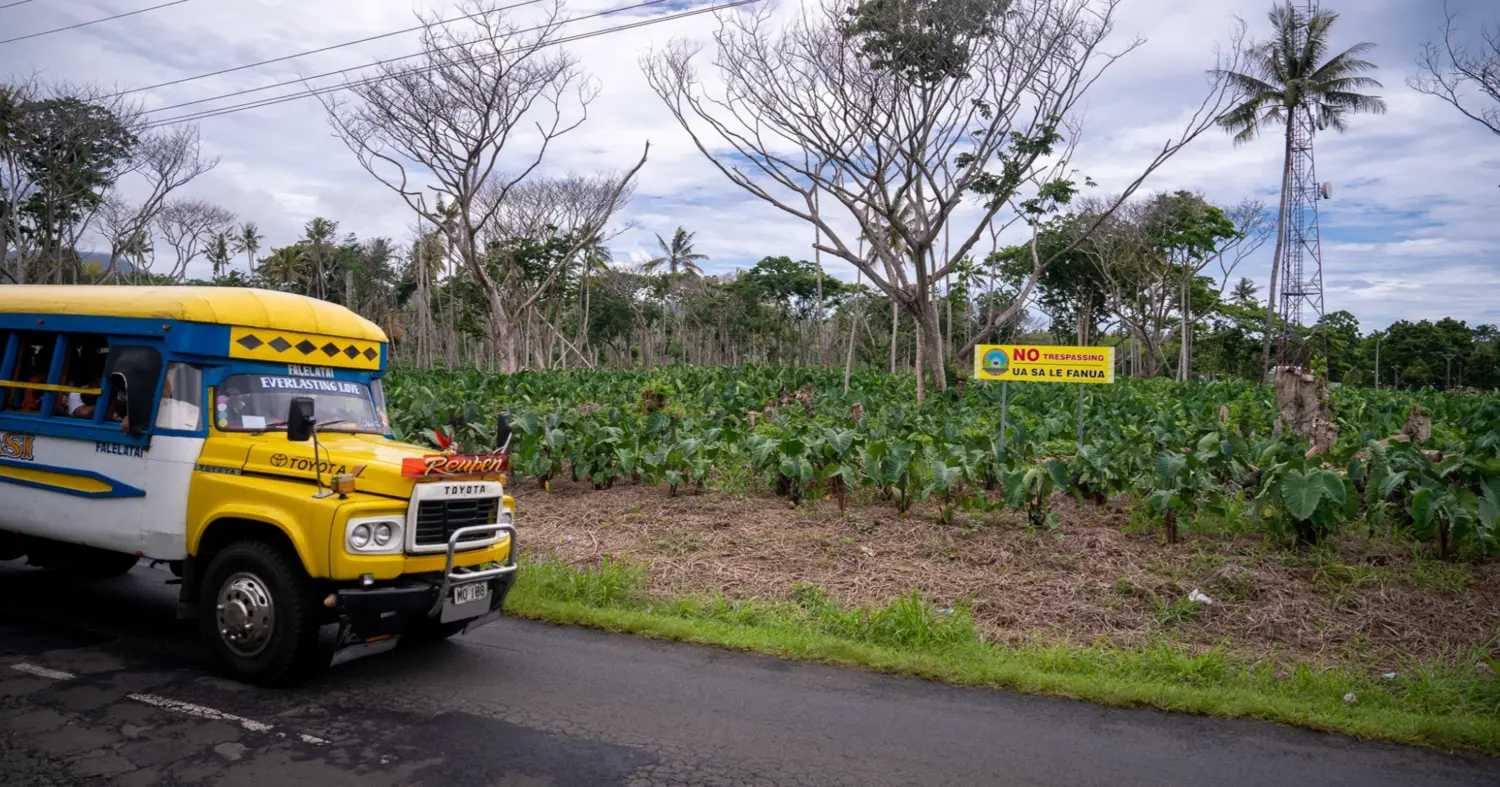 Samoa Observer | What will the government do next in Satapuala?