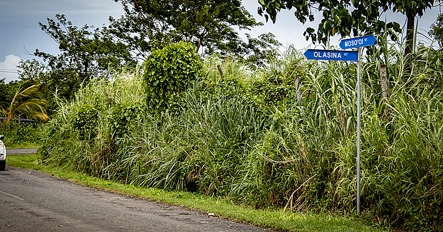 Samoa Observer | Street naming to continue