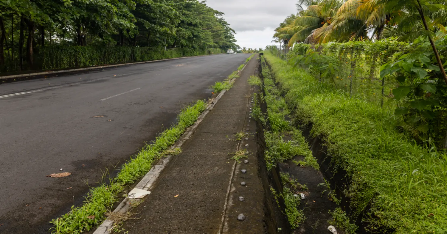 Samoa Observer | Abuse of public funds in grass cutting scams