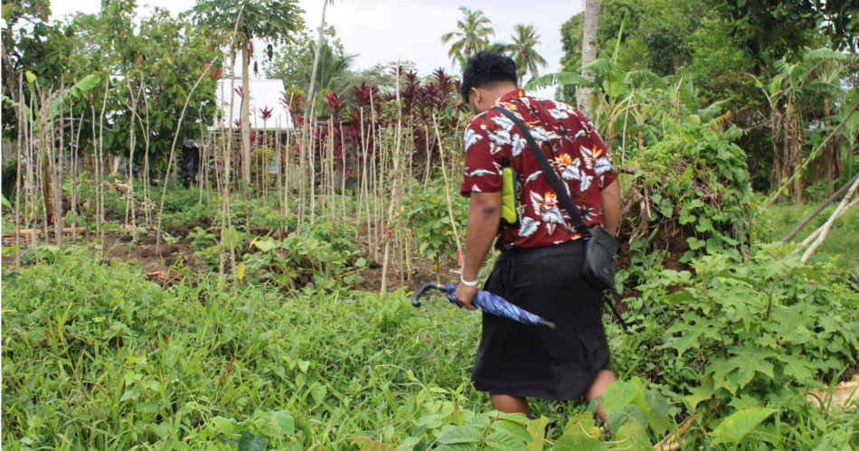 Samoa Observer | The National ID Project and questions of