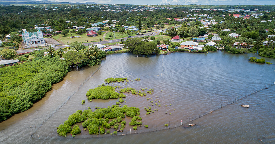 Samoa Observer | Mangrove project to be expanded