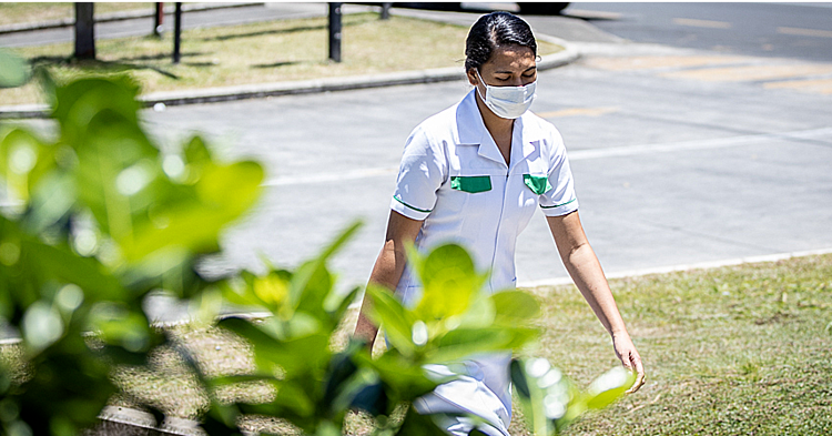 Samoa Observer | Lauga - “O le taulaga tatau”