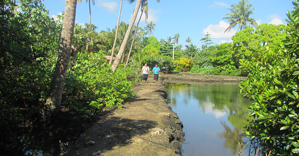 Samoa Observer | Indigenous knowledge hold the key