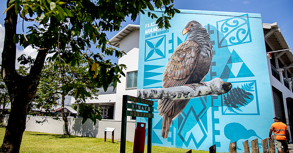 Samoa Observer | Distinguishing Manumea's call is key, says ecologist